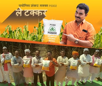 Digital Marketing Services in Rural India | Rural Marketing in India